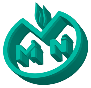 MN Vookbar Cyber Pro - Smart Disposable Vape | Dual Modes & Customization